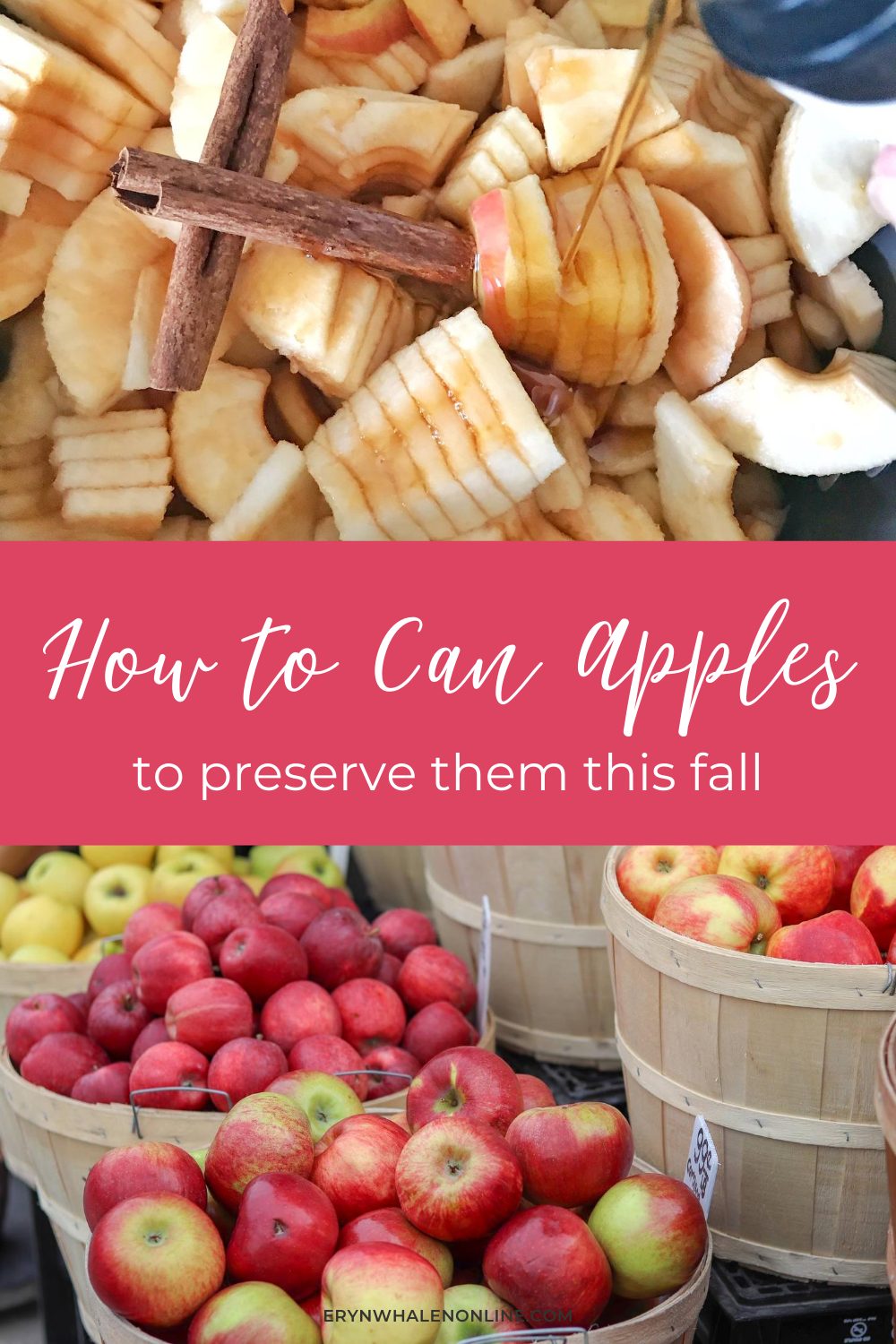 Ideas for canning & preserving apples this fall | Eryn Whalen Online