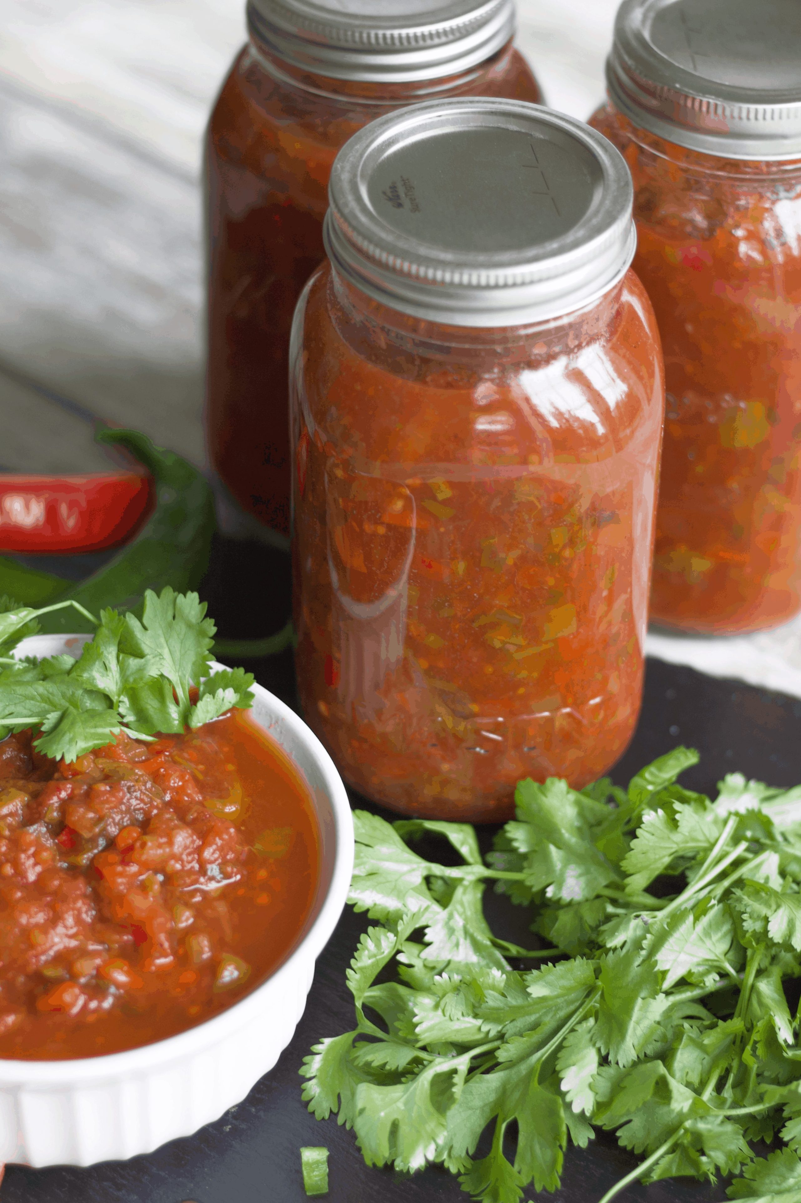 Canning Salsa Recipe: Water Bath Canning Salsa How To