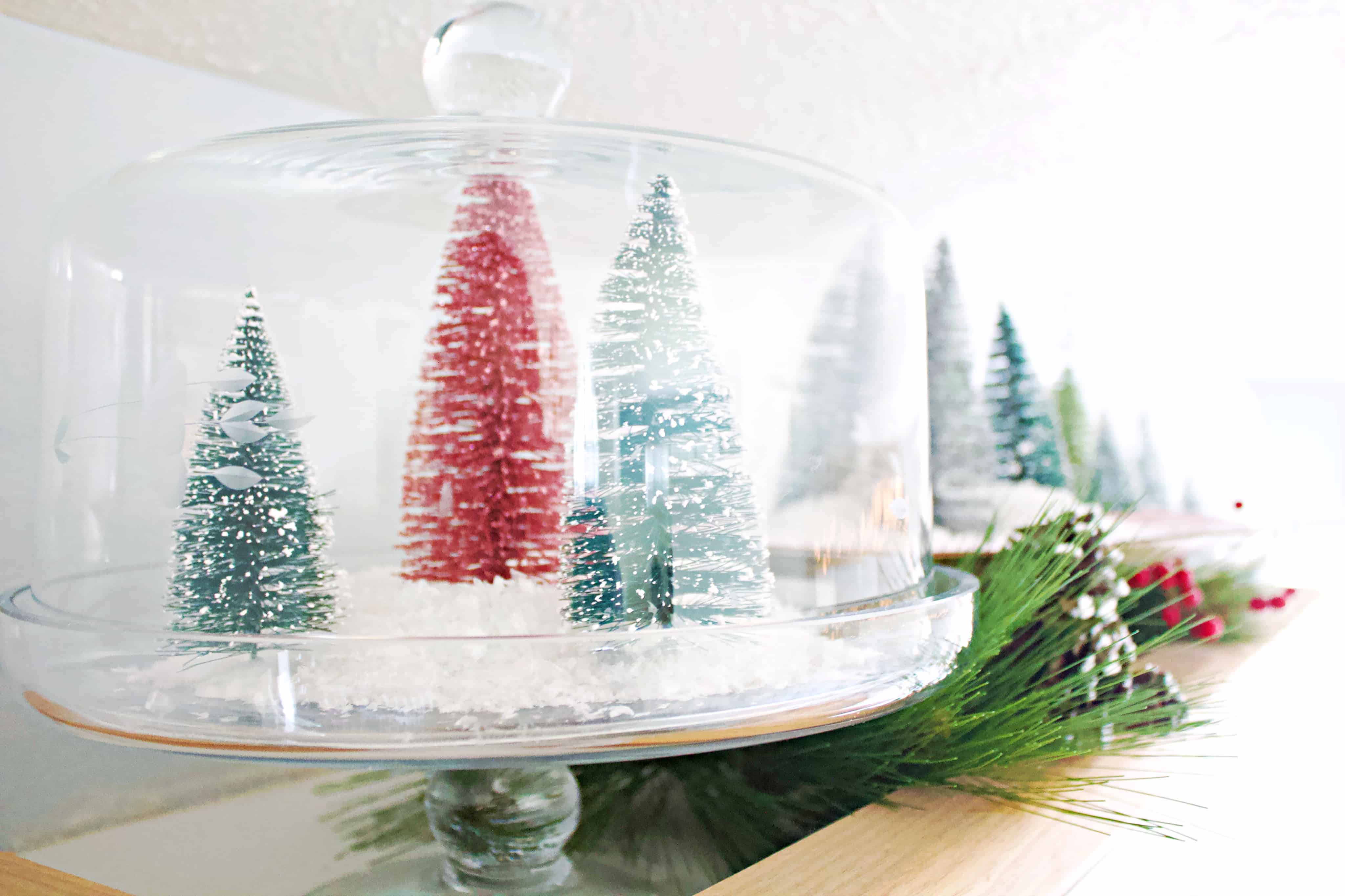 Christmas terrarium with bottle brush Christmas trees