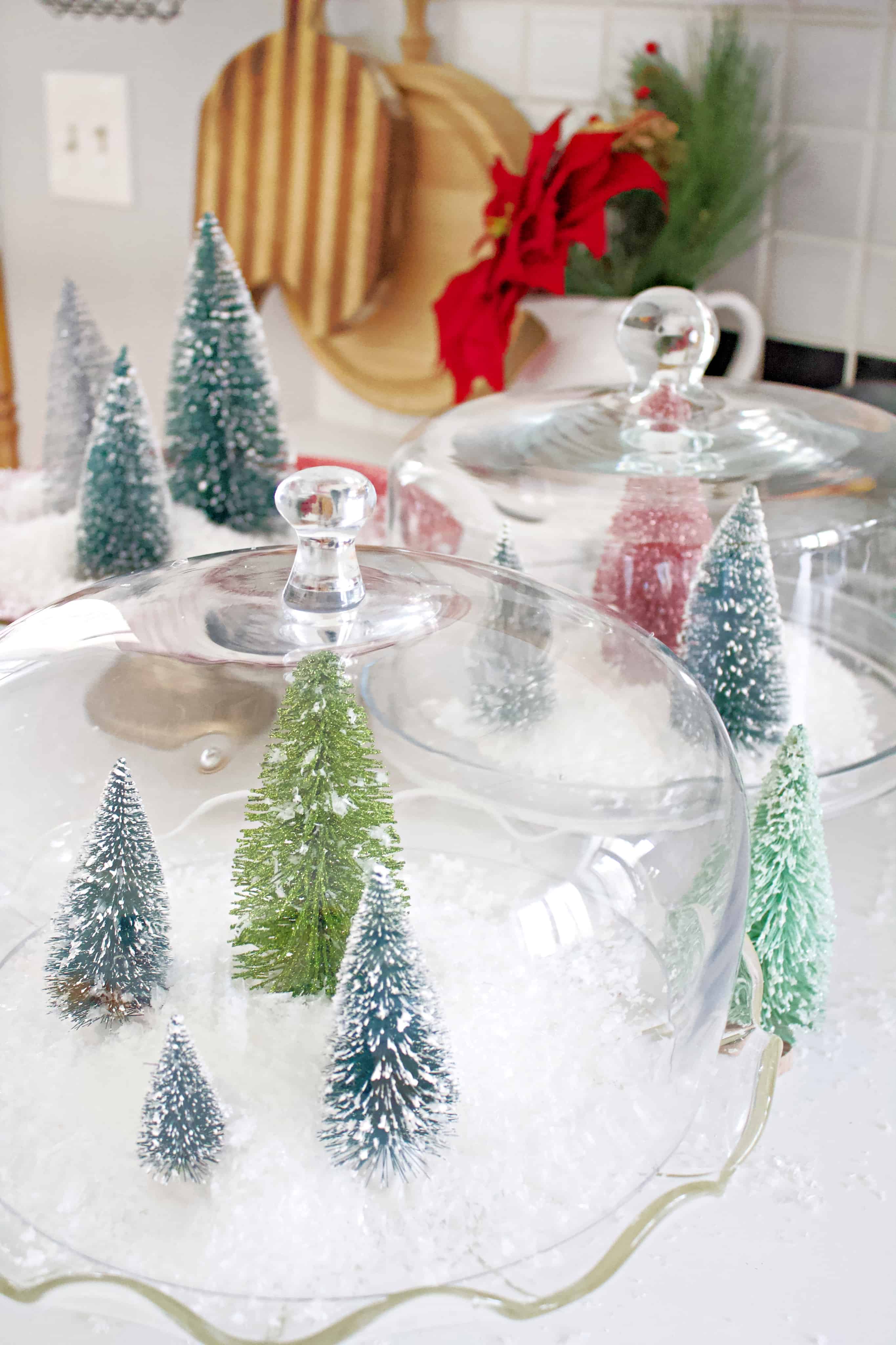 Christmas terrarium with bottle brush Christmas trees