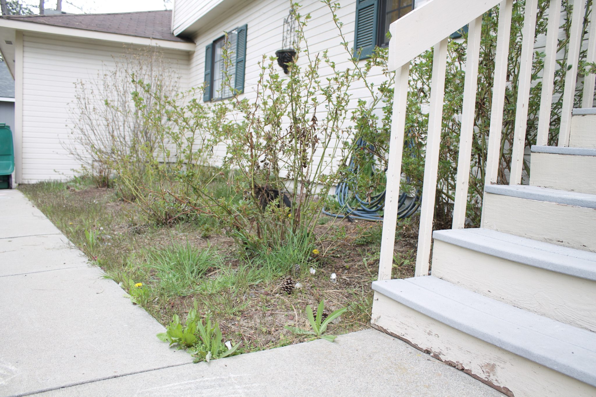 5 Ways To Update Your Home Exterior in 2020 Eryn Whalen Online