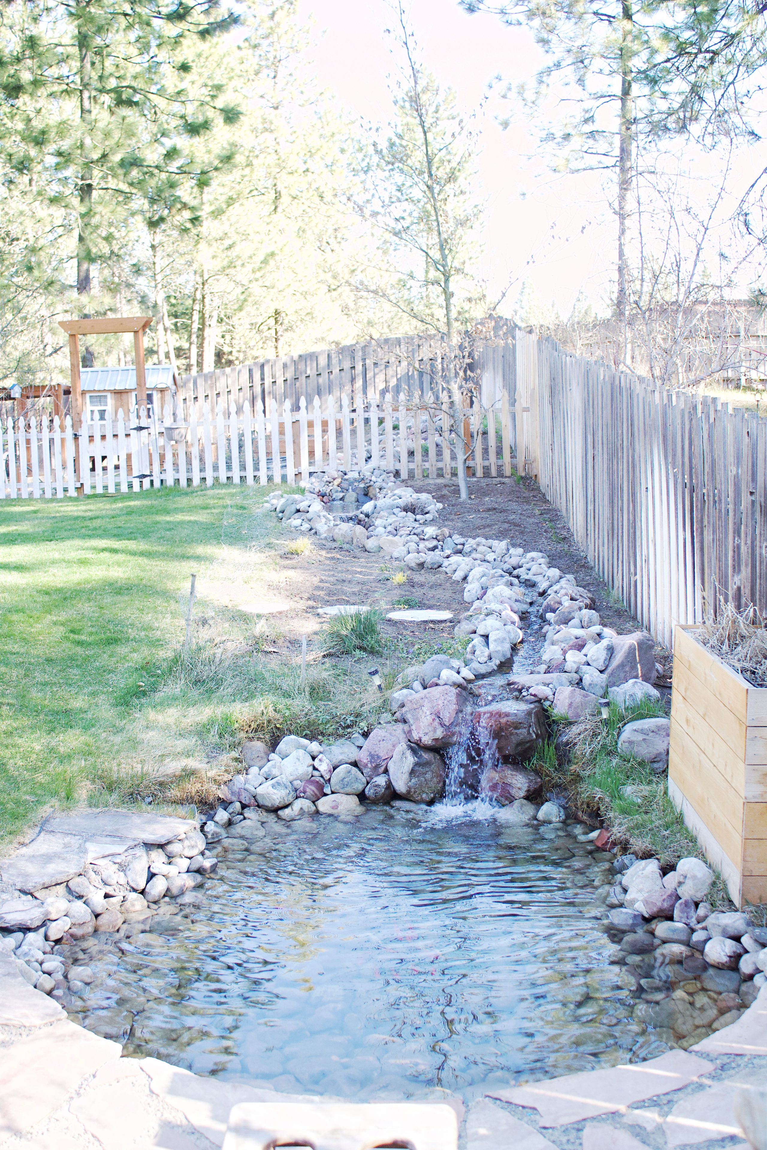 How To Deep Clean A Backyard Pond Once Every Few Years
