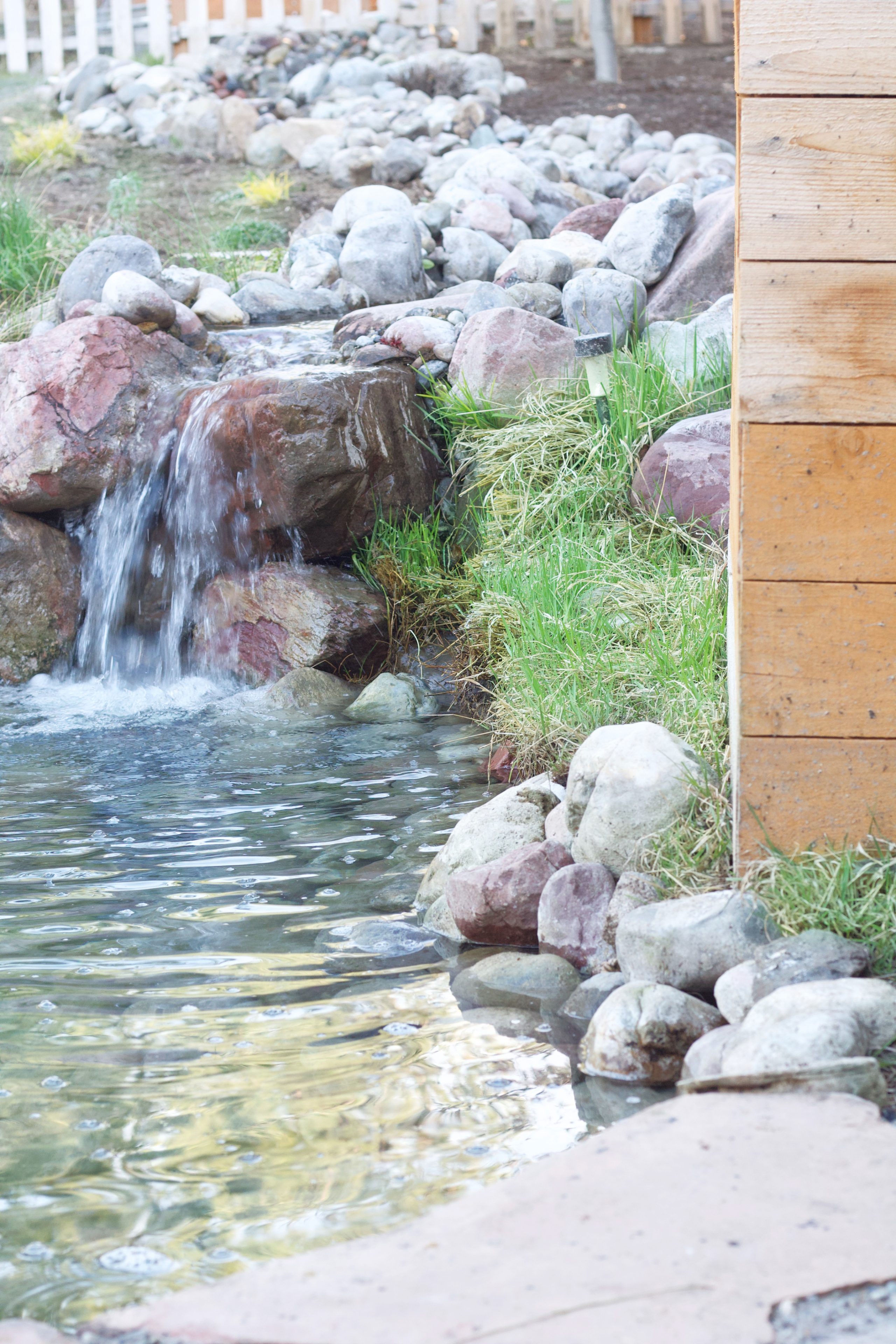 How To Deep Clean A Backyard Pond Once Every Few Years