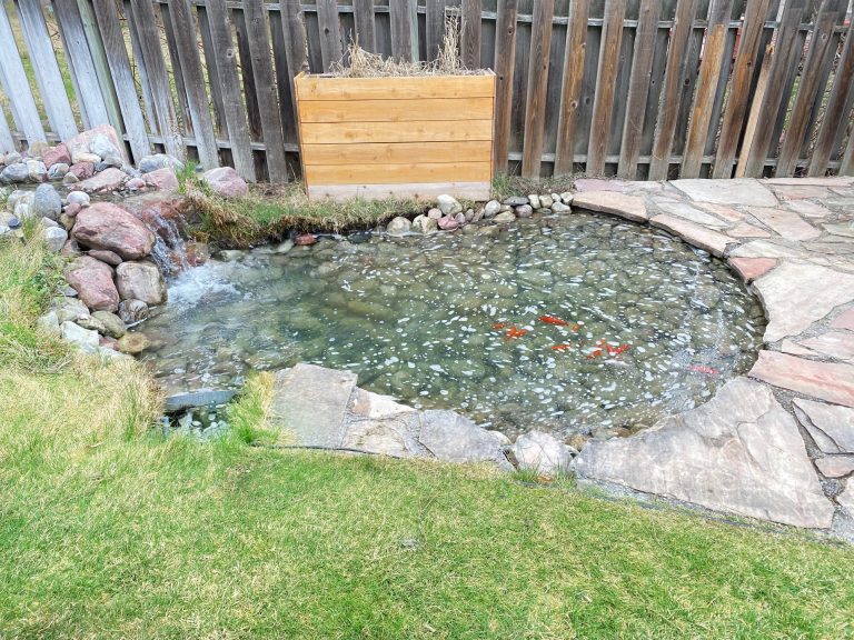 How To Deep Clean A Backyard Pond Once Every Few Years
