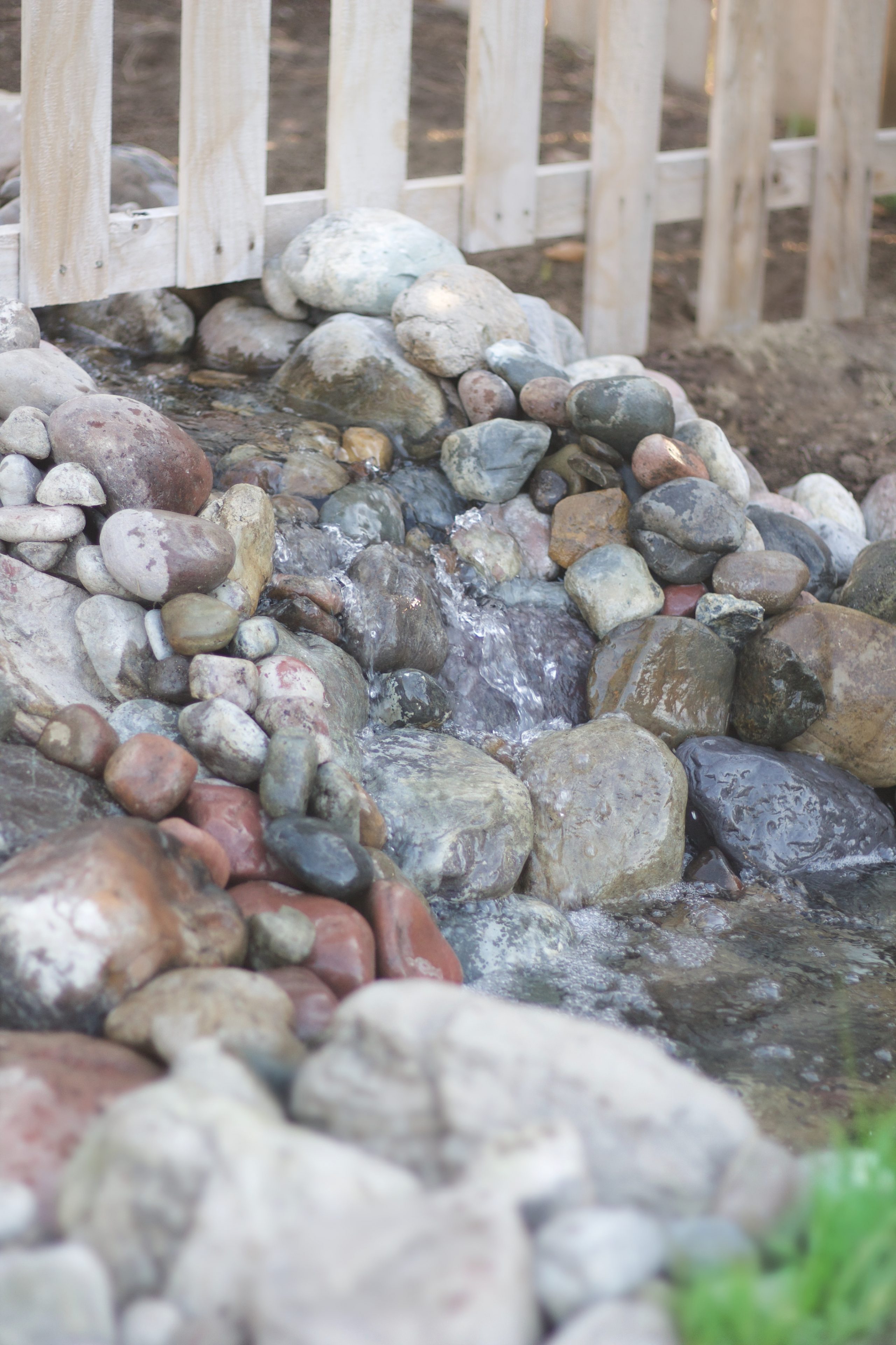 How To Deep Clean A Backyard Pond Once Every Few Years