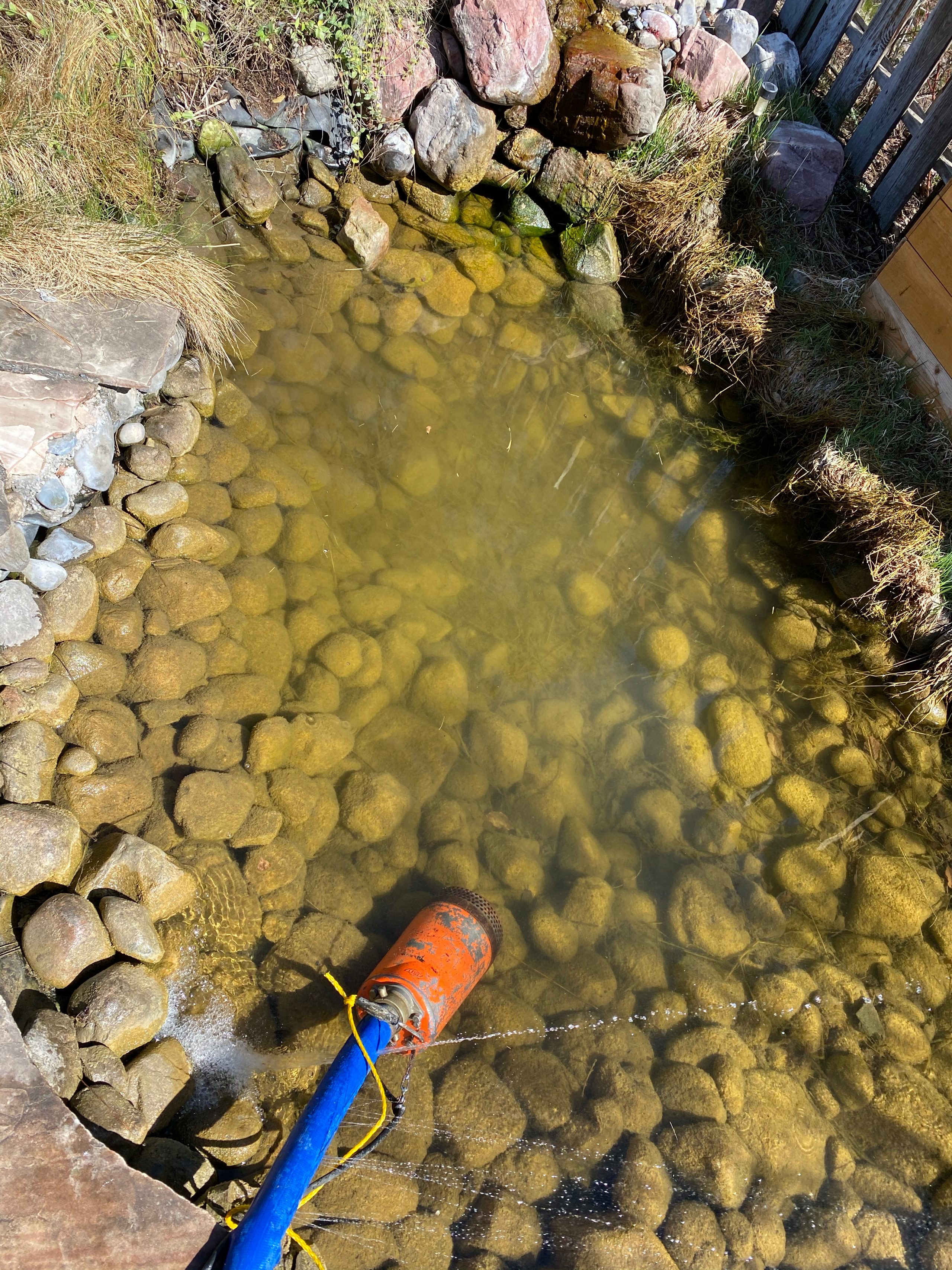 How To Deep Clean A Backyard Pond Once Every Few Years