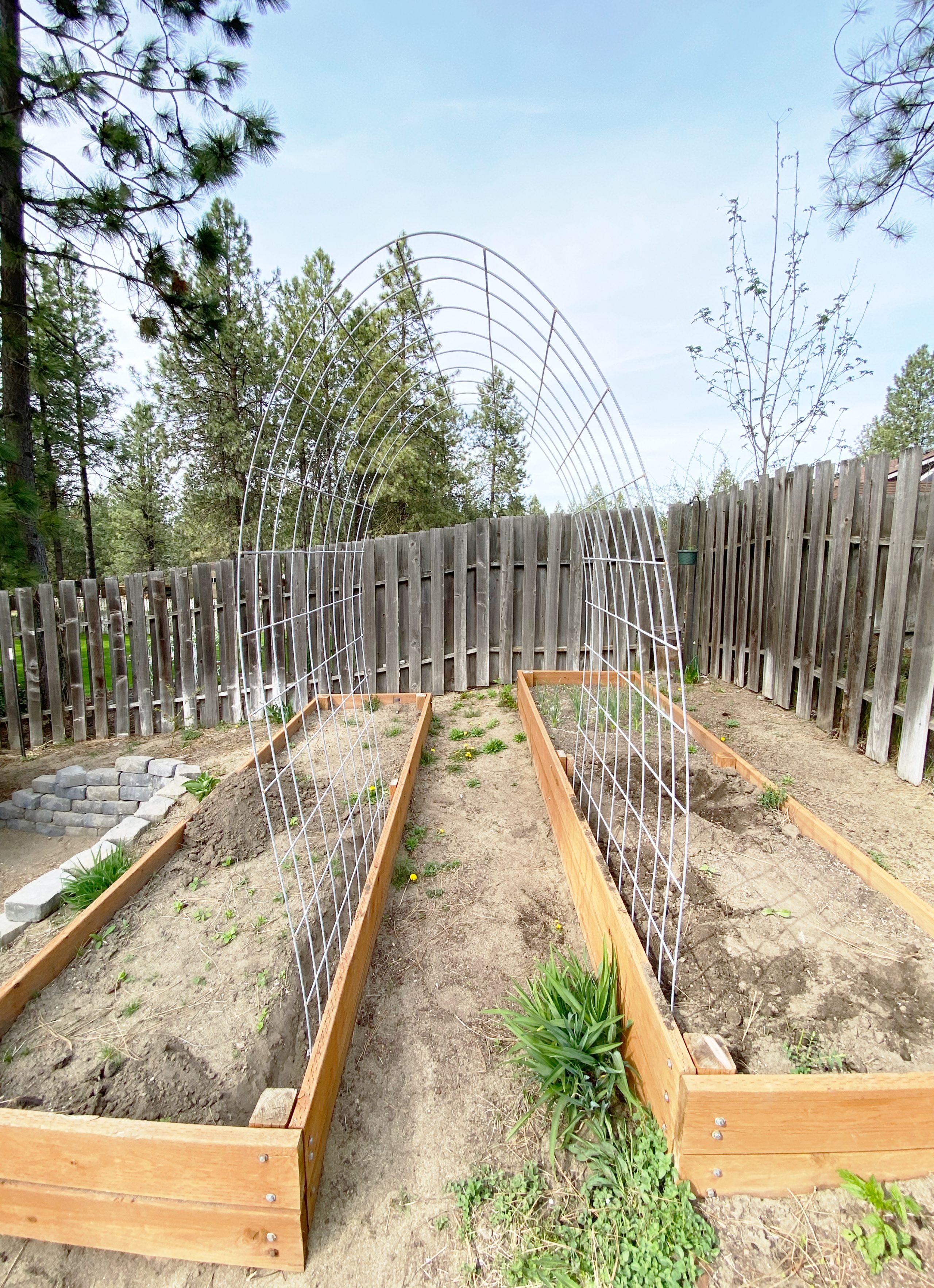 Easy Cattle Panel Trellis How To Connect To Raised Beds Easy Cattle Panel Trellis How To Connect To Raised Beds
