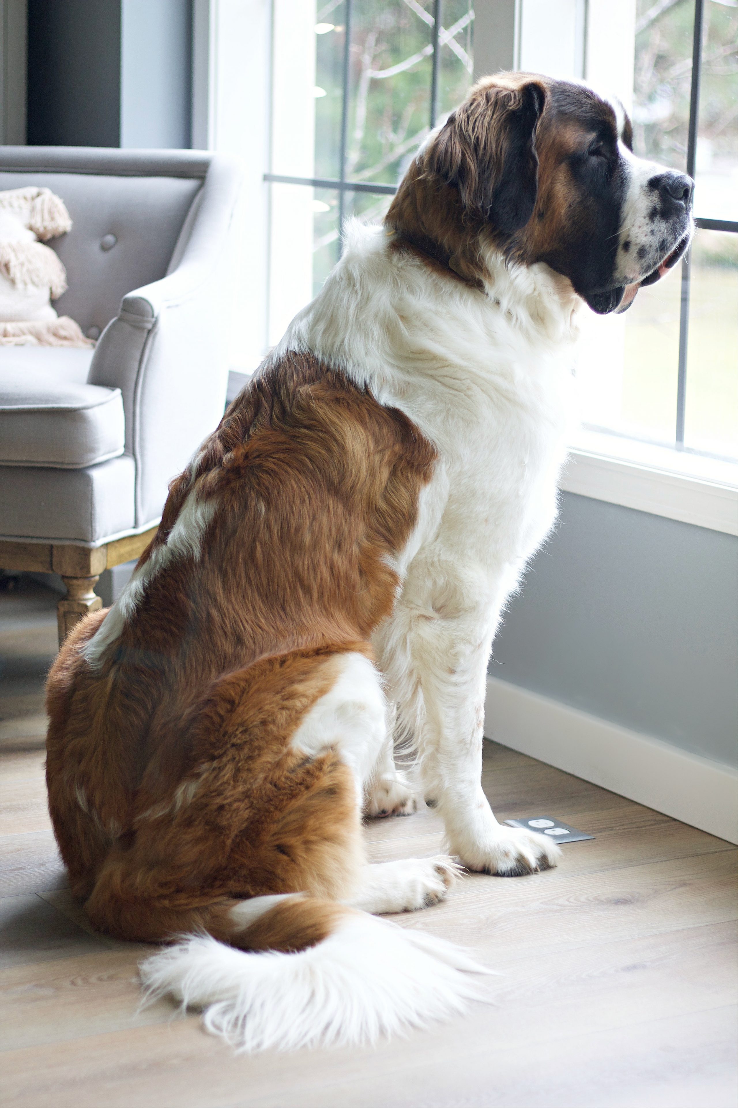 HEWN Floors 6th Month Update and Adding it to our Main Living Space