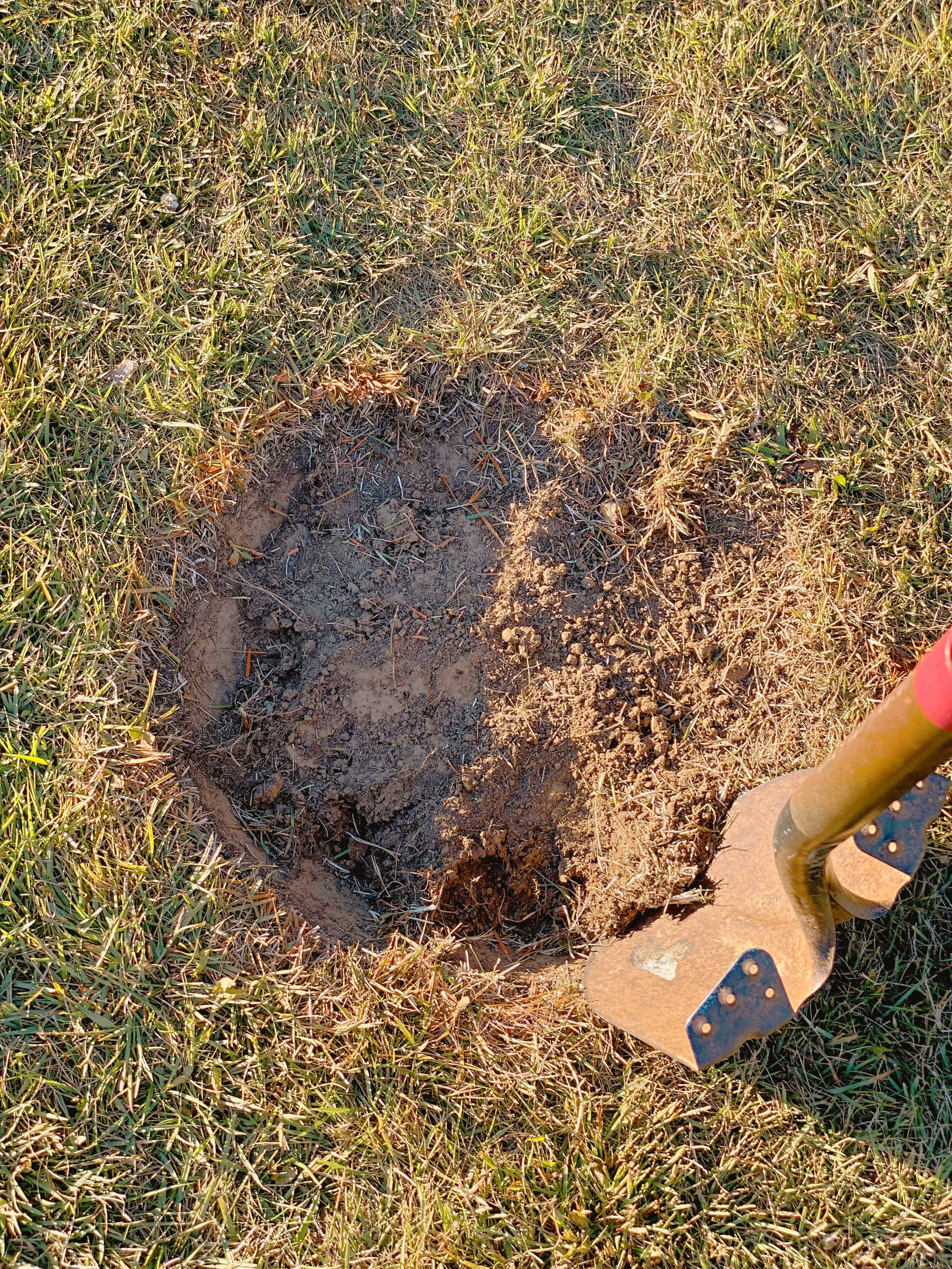 Custom DIY $30 Stone Path In Under 2 Hours