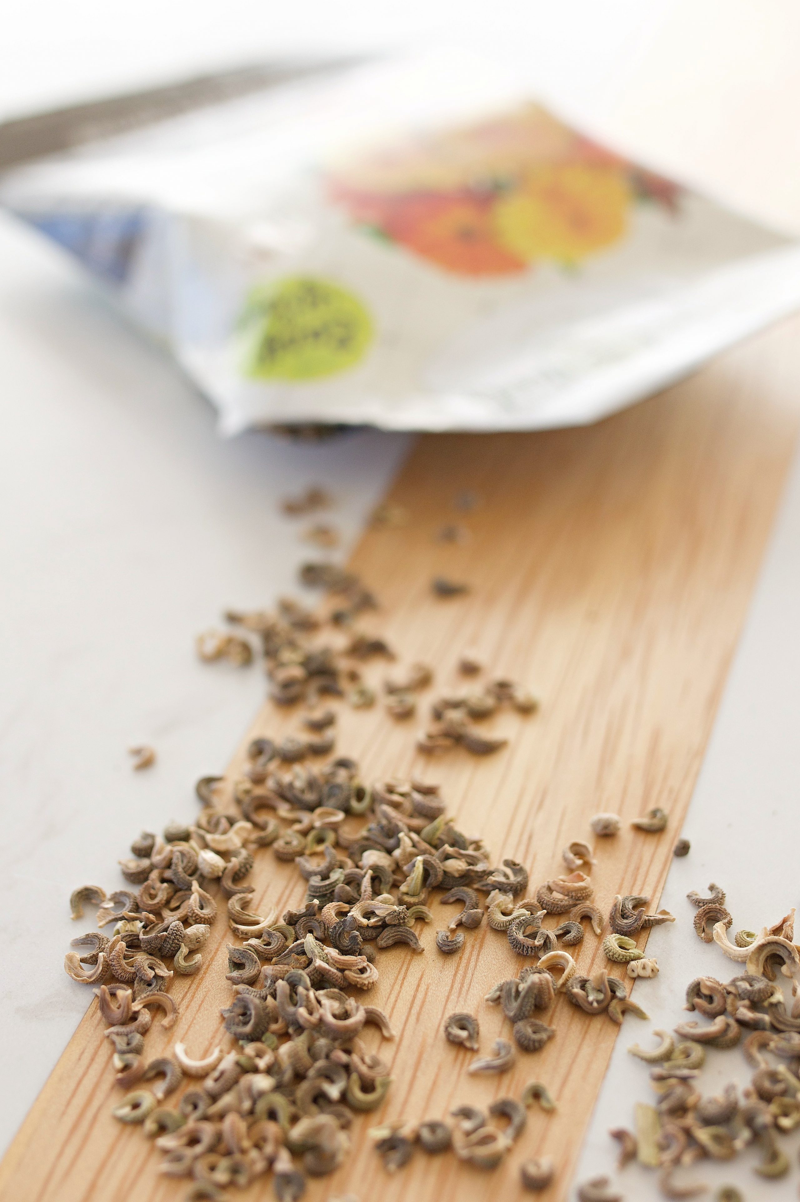 What you need to know about Heirloom, Hybrid, and GMO Seeds