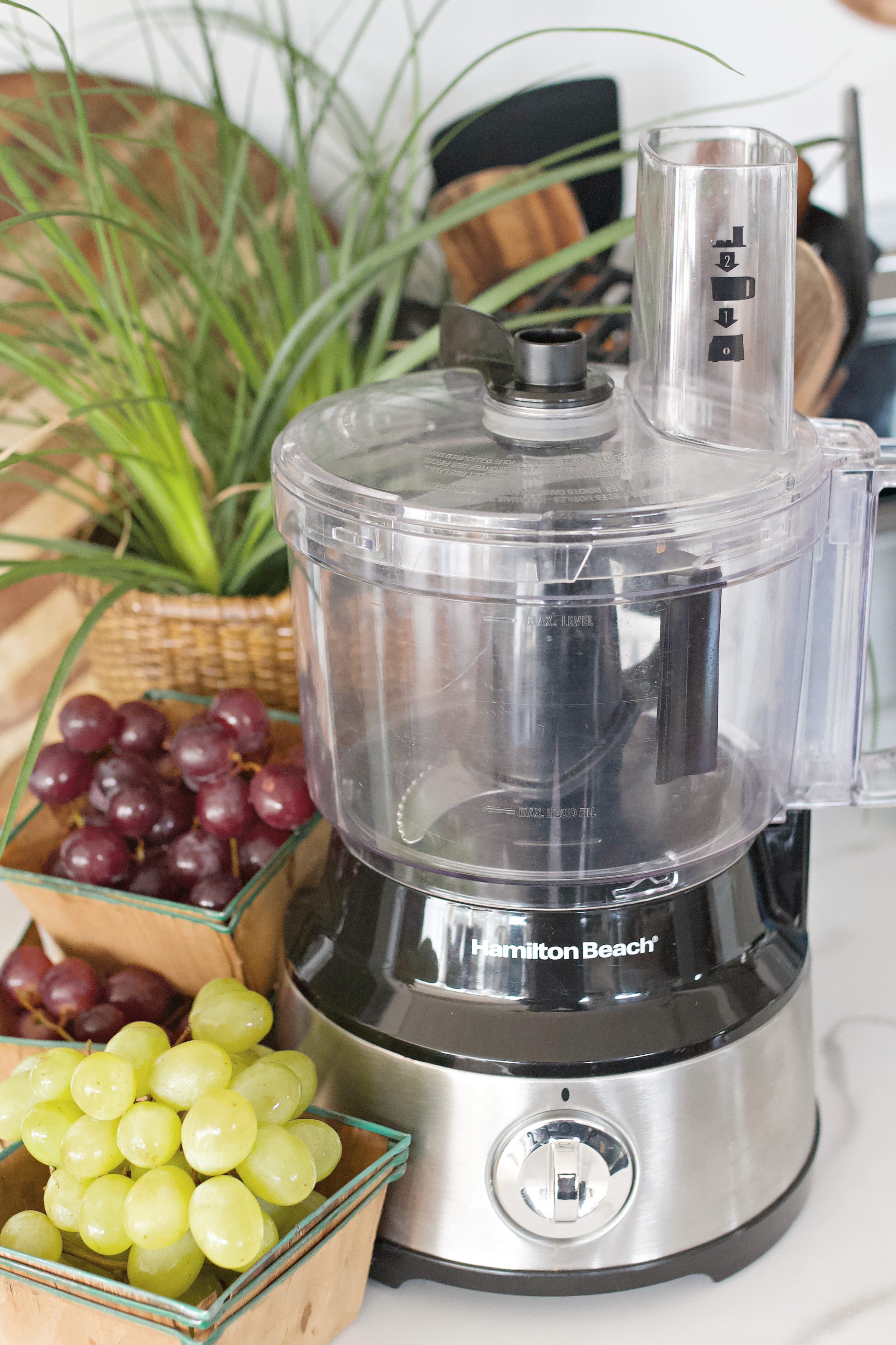 Quick Refreshing Grape Sorbet Recipe | Easy No-Churn