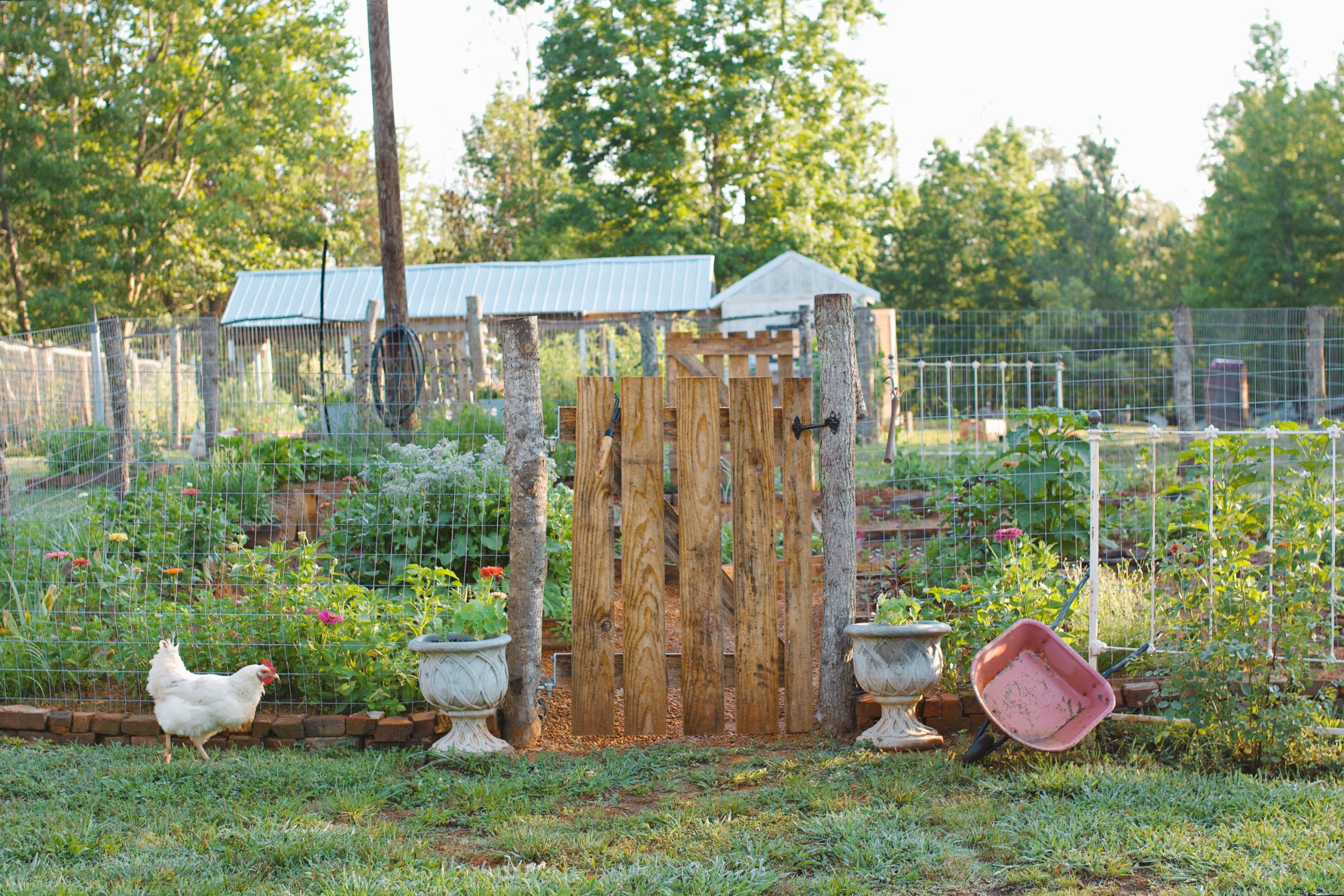 Come Walk The June Garden With Me