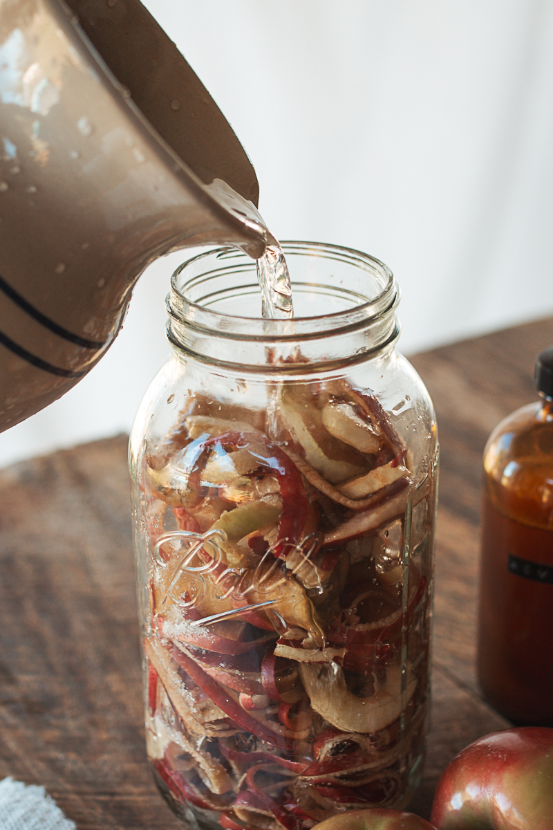 Homemade Apple Cider Vinegar Recipe Made From Apple Scraps