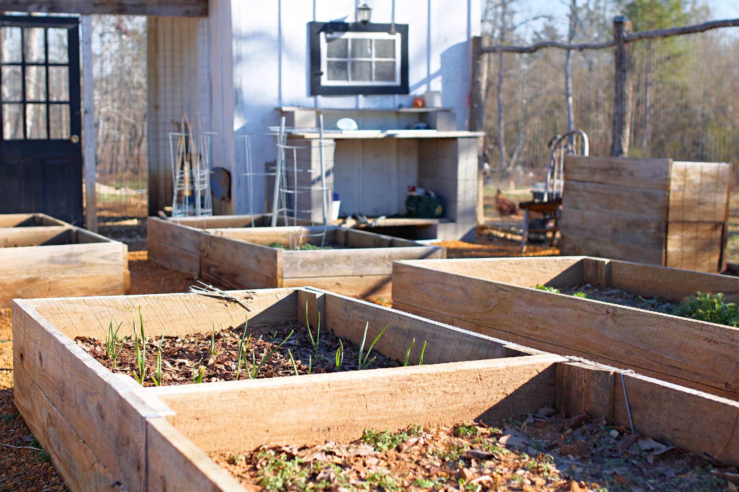 Best Soil Type For Growing A Vegetable Garden