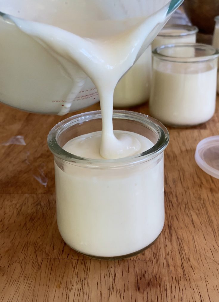 How To Make Homemade Yogurt | Full Step-By-Step Recipe