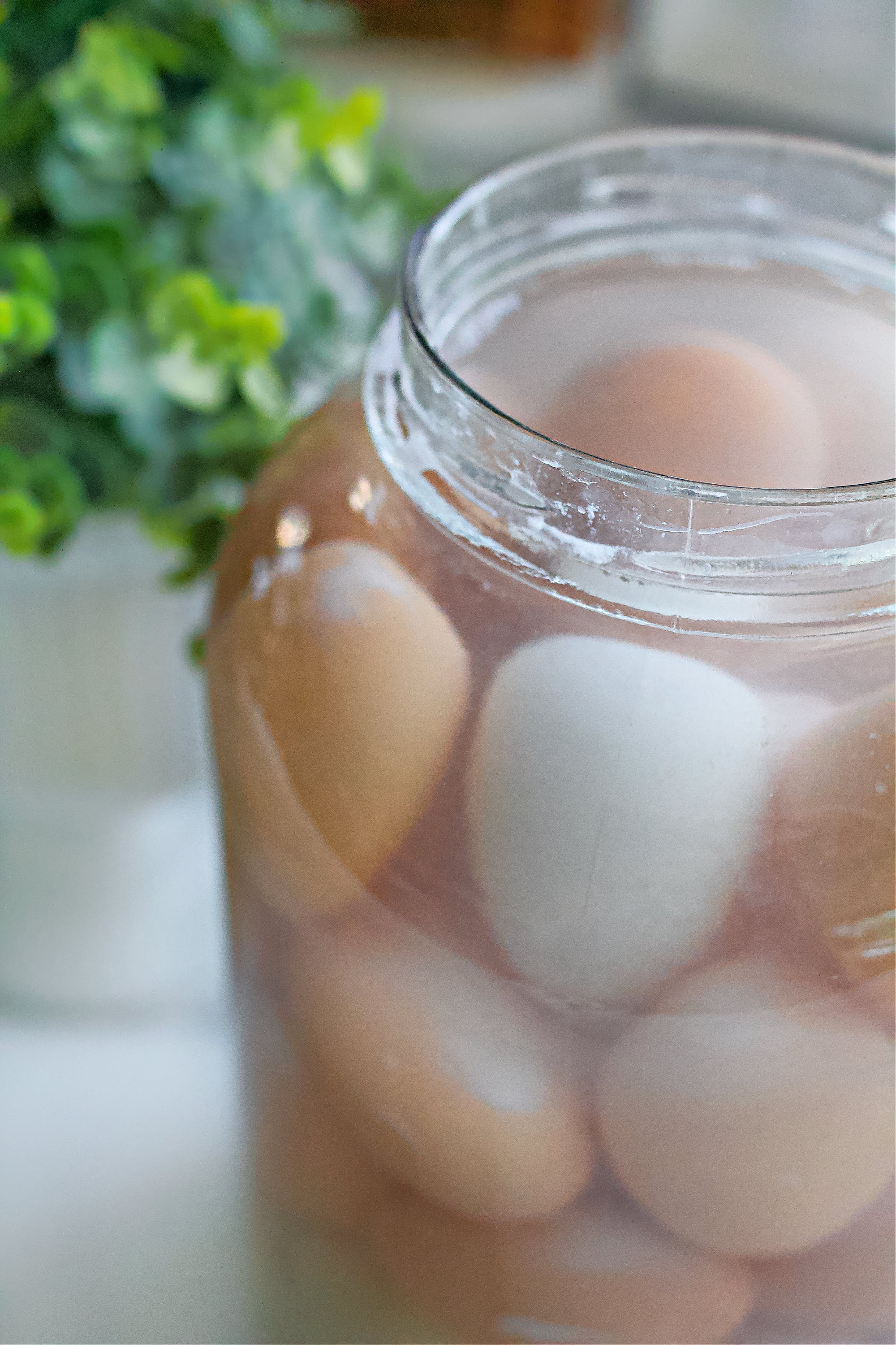 Water Glassing Eggs Full Tutorial