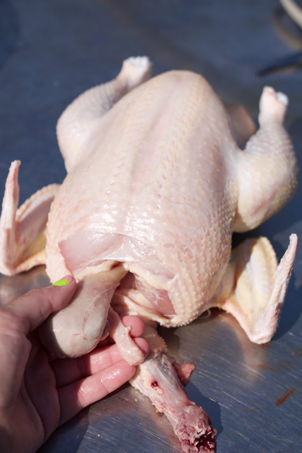 Beginners Guide To Butchering Chickens Breakdown