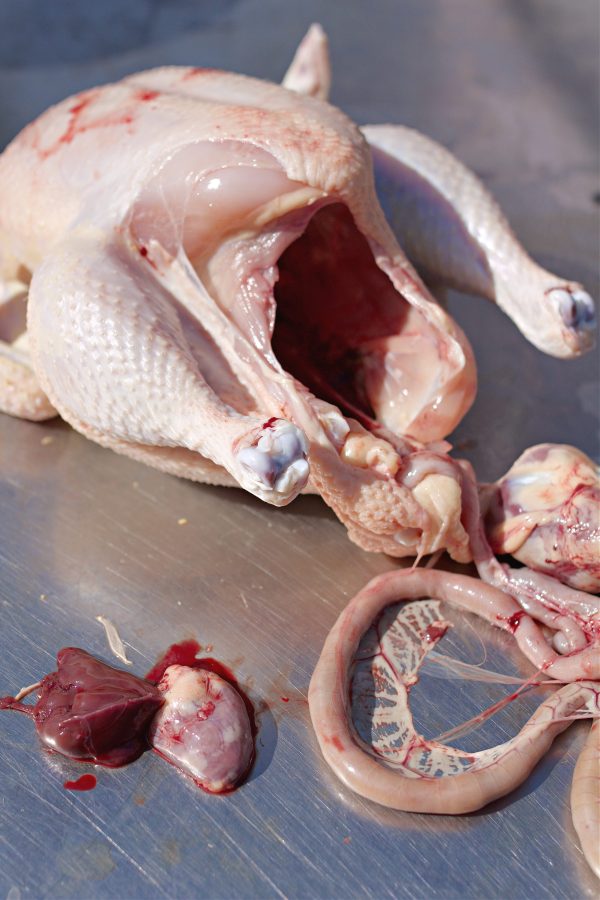 Beginners Guide To Butchering Chickens Breakdown
