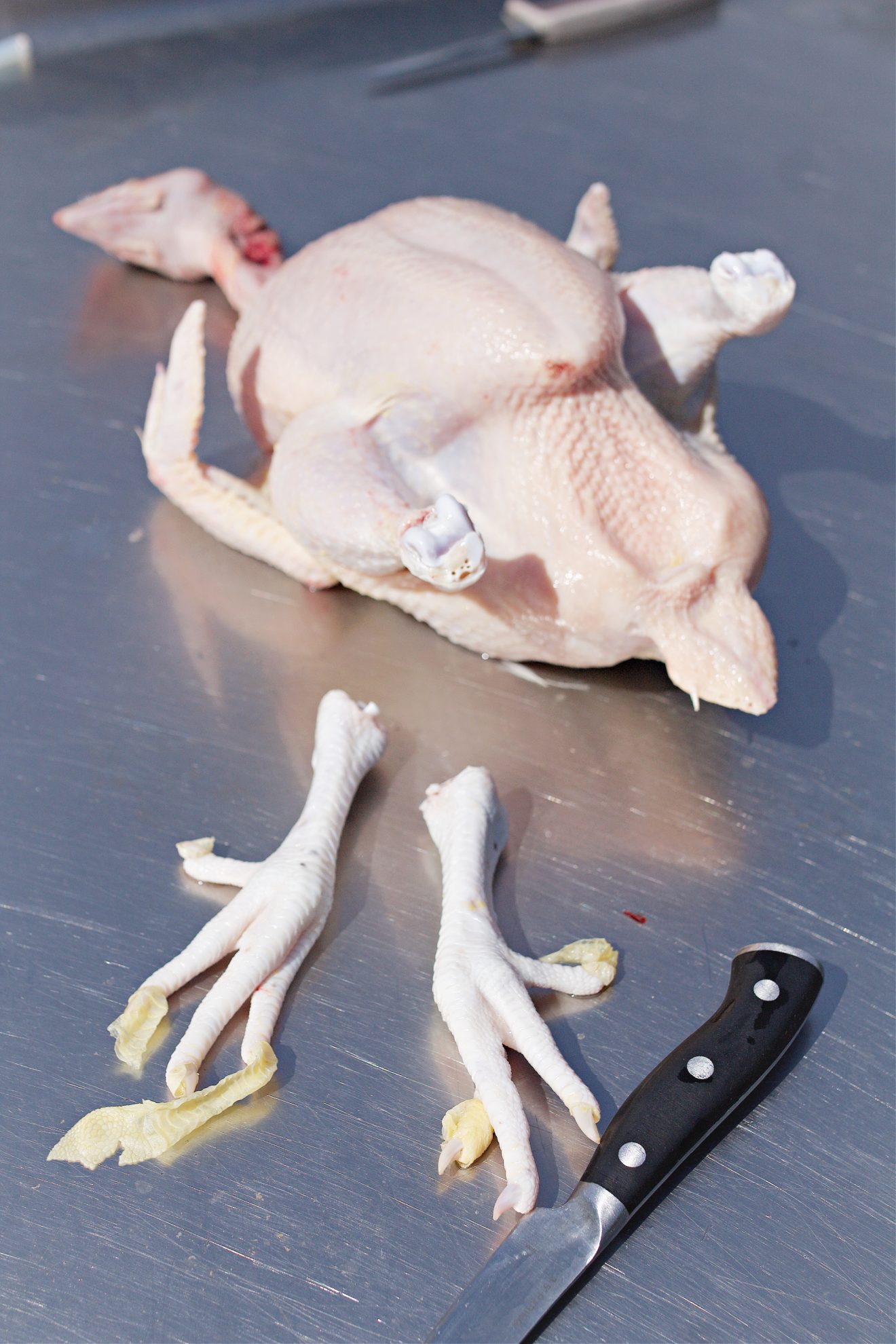 Beginners Guide To Butchering Chickens Breakdown