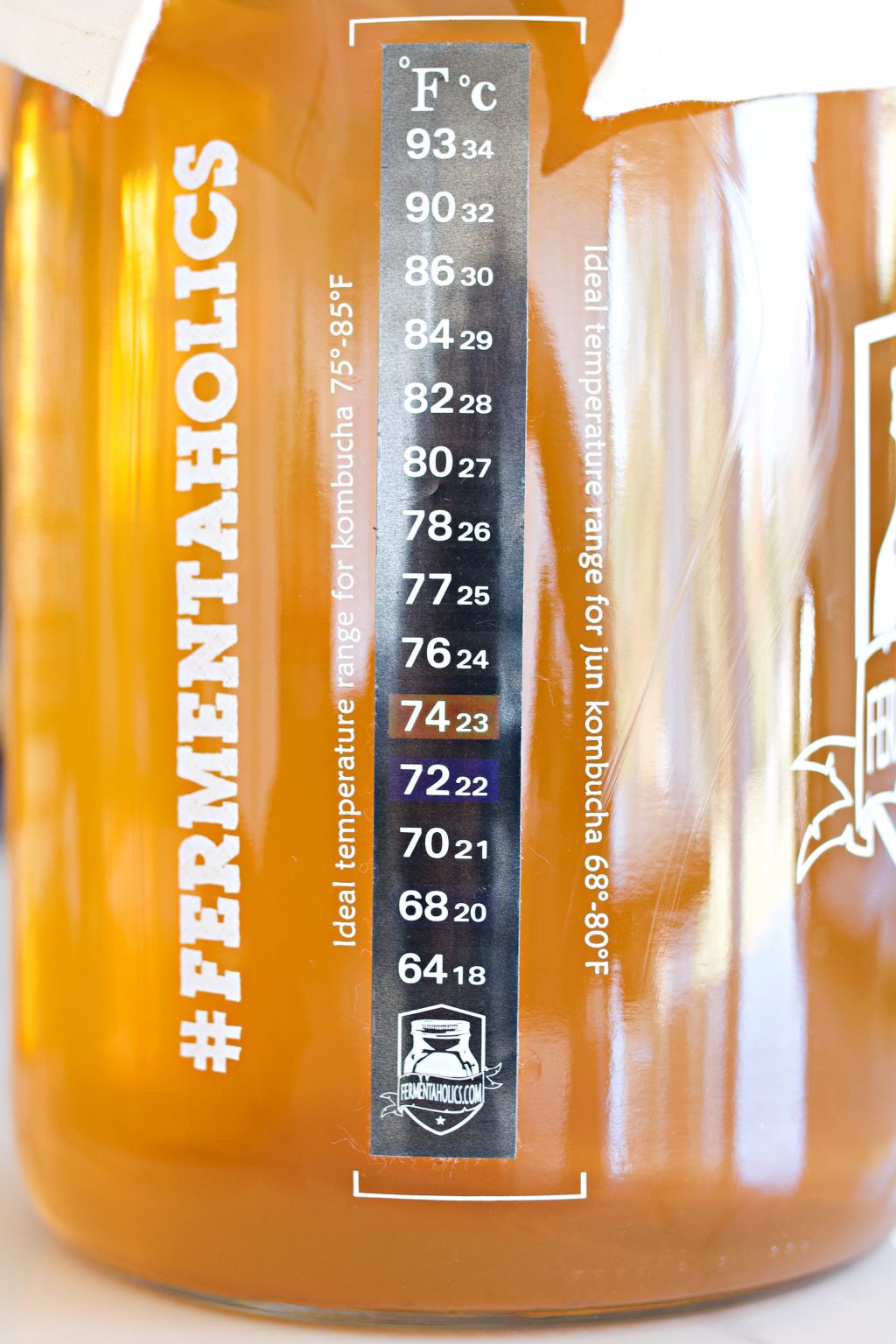 How To Make Kombucha For Beginners | Full Starter Kit