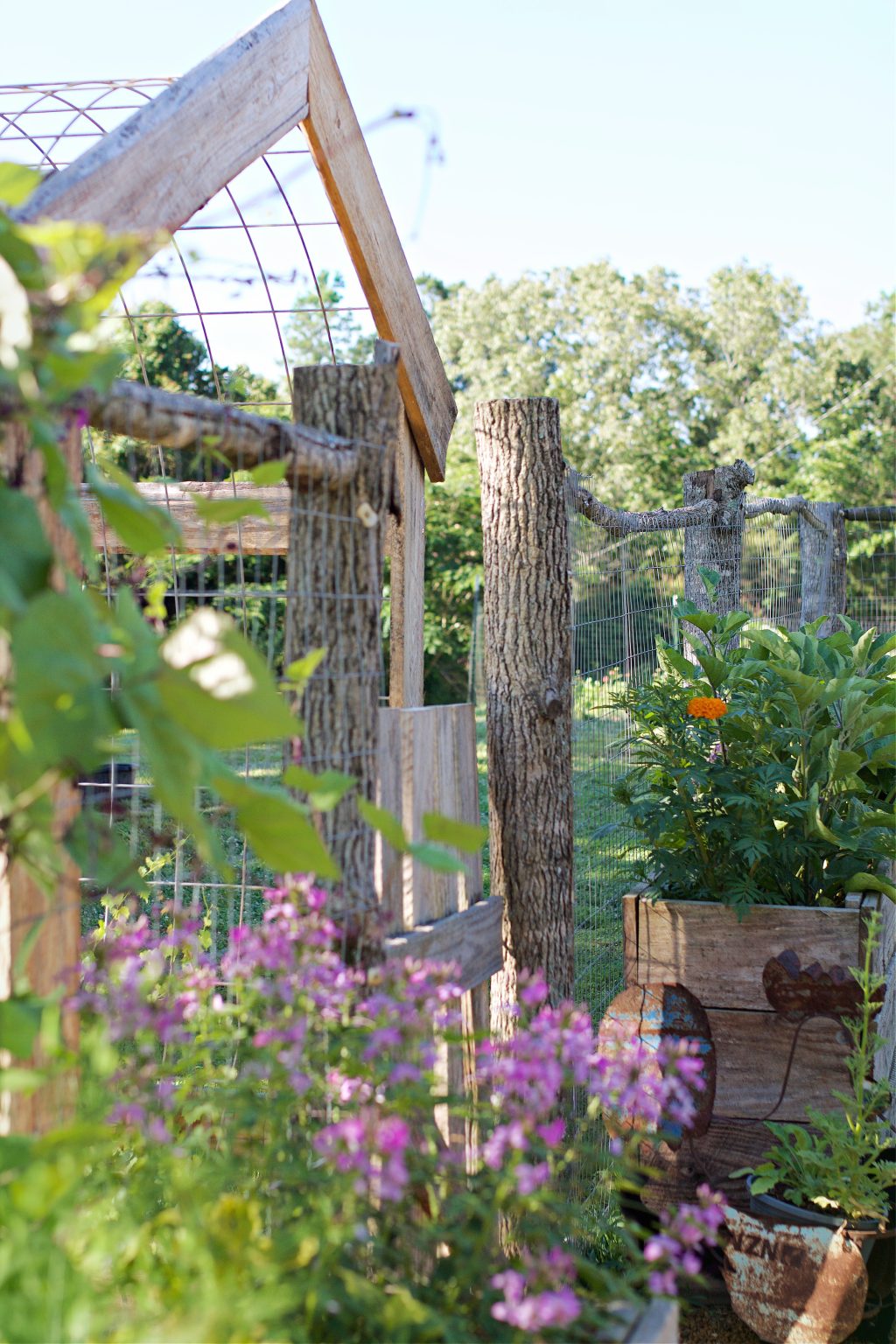 The Best Way To Plan Your Garden | 2025 Planting