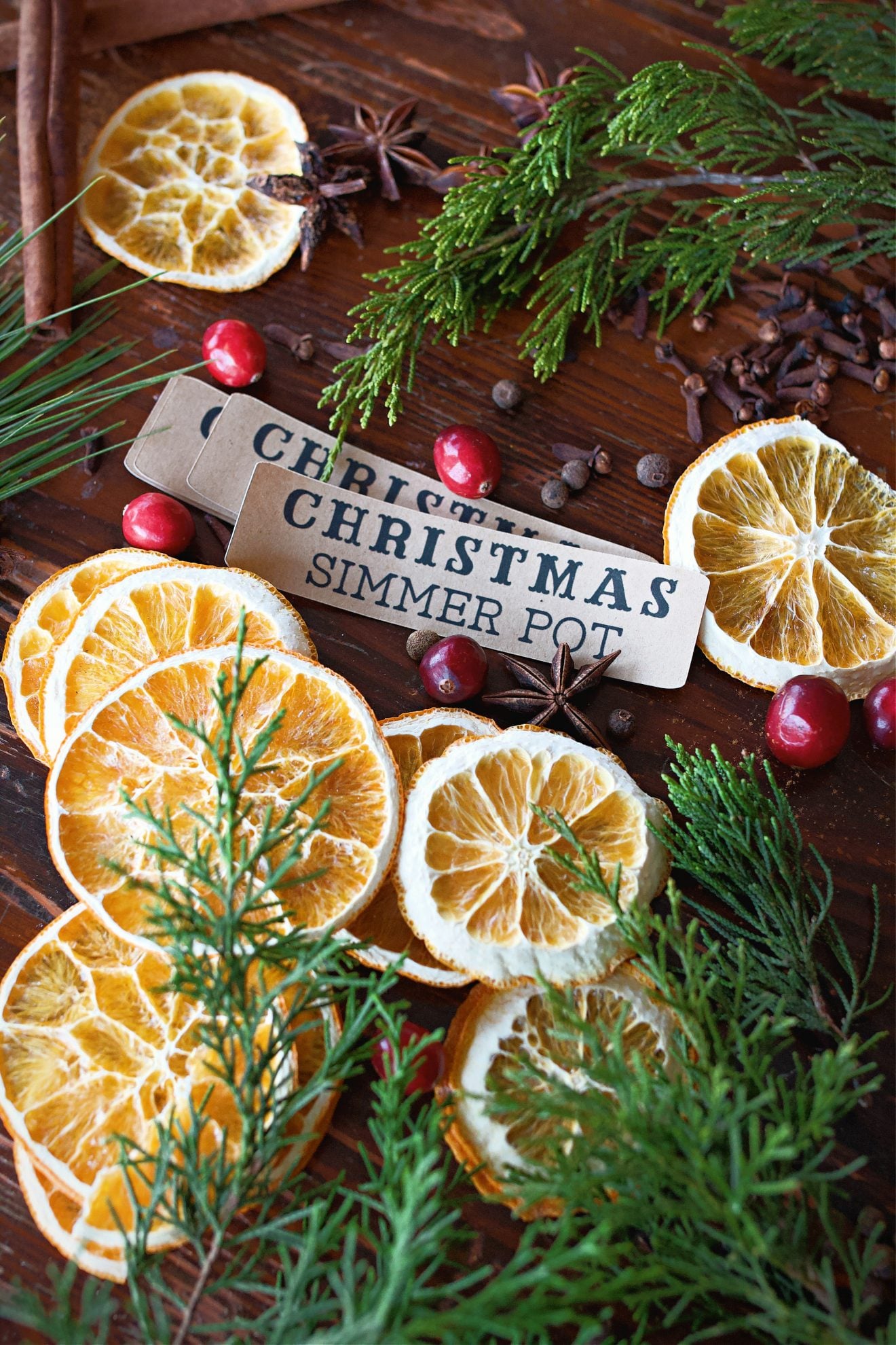 Festive Holiday Simmer Pot Recipe To Enjoy And Gift
