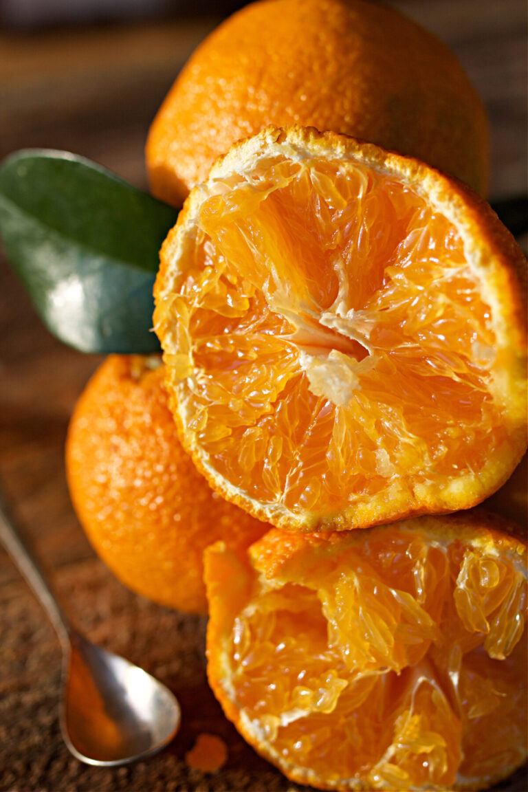 Easy Orange Marmalade Recipe, No Pectin | Eryn Whalen Online