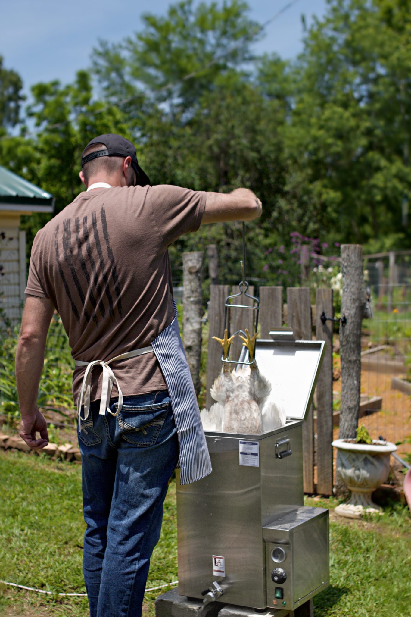 Chicken Processing: Tips, Tools & Guides : Eryn Whalen Online