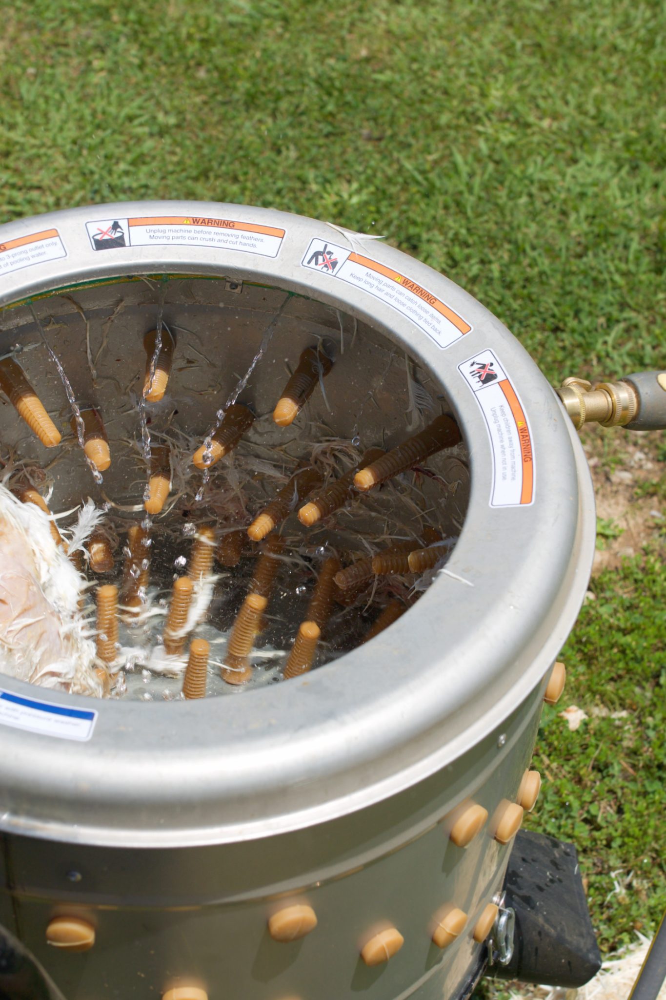 Chicken Processing: Tips, Tools & Guides : Eryn Whalen Online